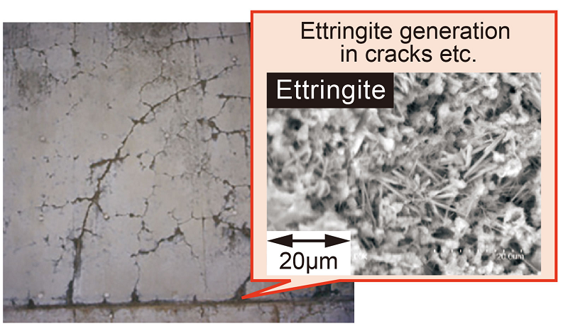 30. Factors influencing concrete deterioration due to expansion | R&D ...